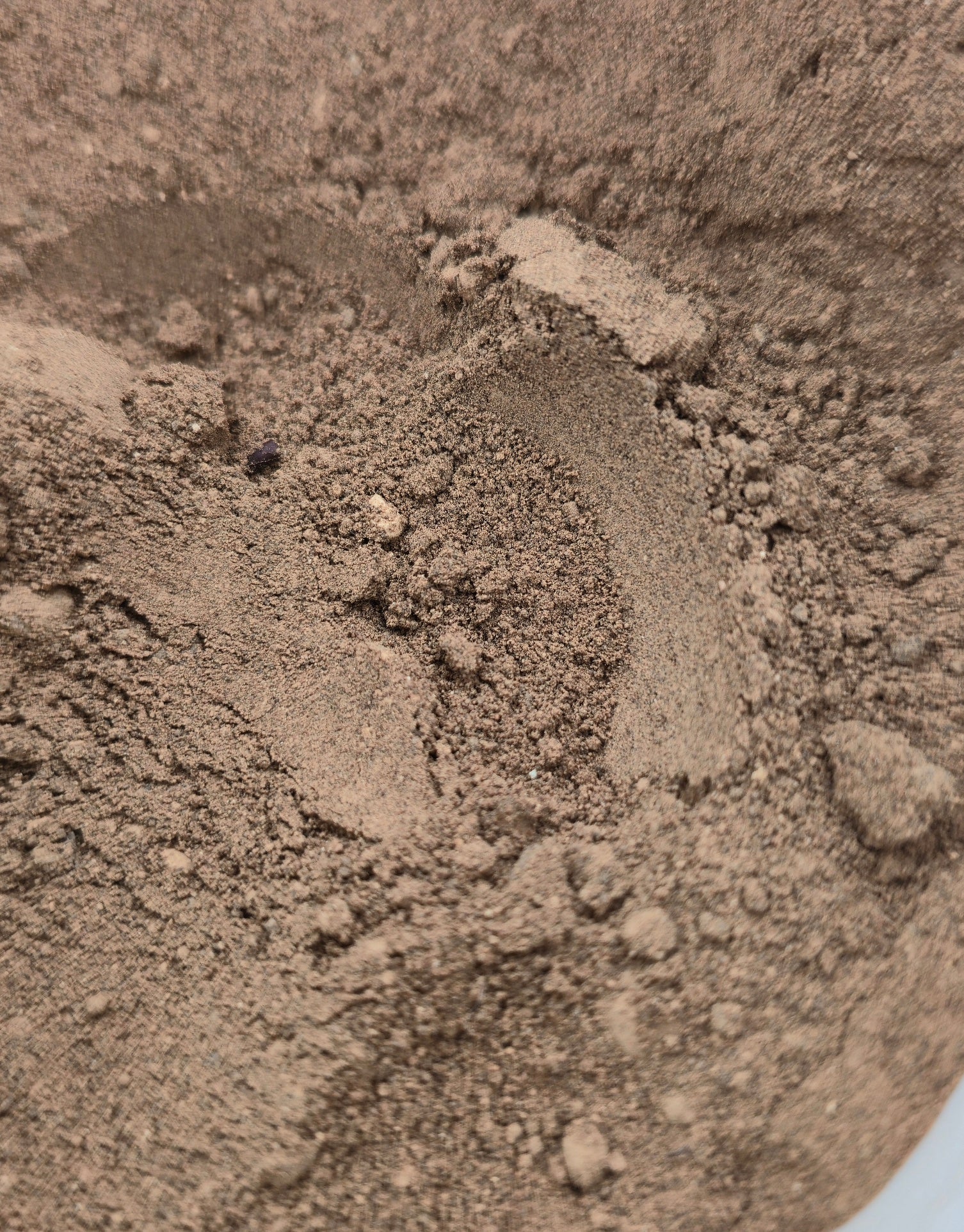 Postpods | Bat Guano 25g | Captive Bred Isopods